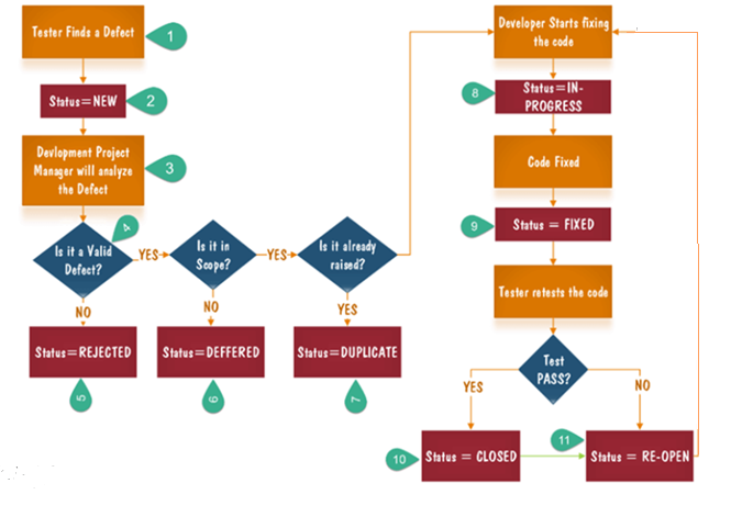 What is Defect/Bug Life Cycle in Software Testing?